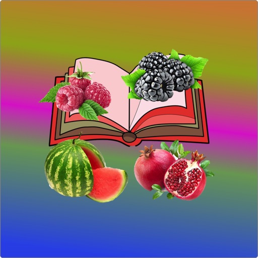 AB Foods by Alexander Berkovich