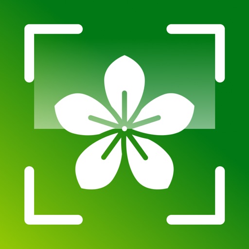 Plant Identifier By Pramod Tapaniya
