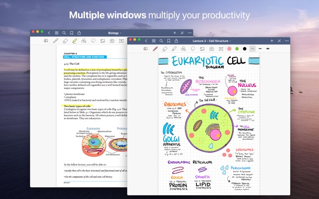  2023 Download GoodNotes 5 iPA For IPhone IPad Windows PC 