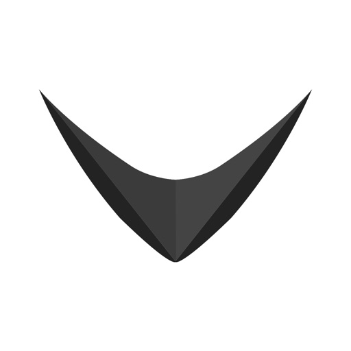 RAYVN for PC - Windows 7,8,10,11