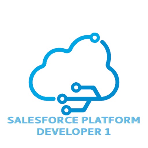 Salesforce Platform Developer by Buydeepdiscount.com LLC