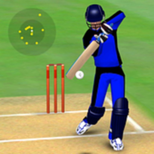 Smashing Cricket: cricket game by Chandan Pawaskar