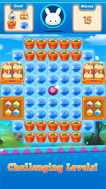 Bunny Match by Tran Hai