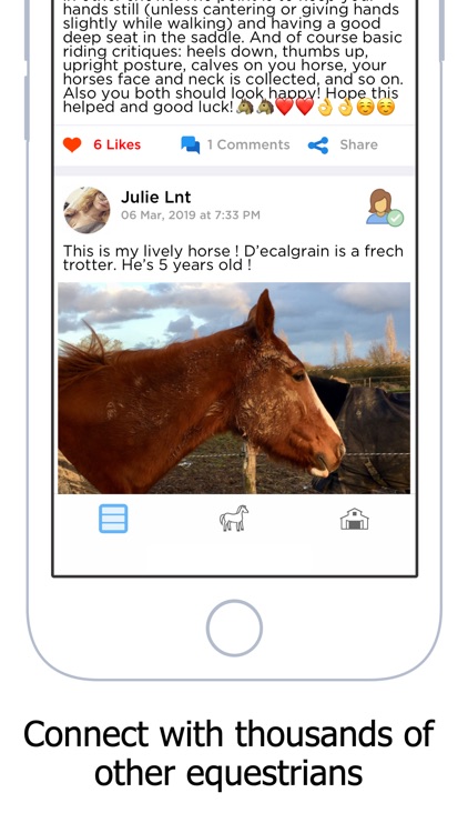 HorseCare: Horse Riding App by Distinct Systems