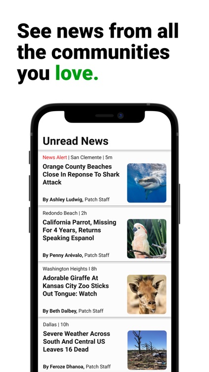 Patch - Everything Local by Patch Media