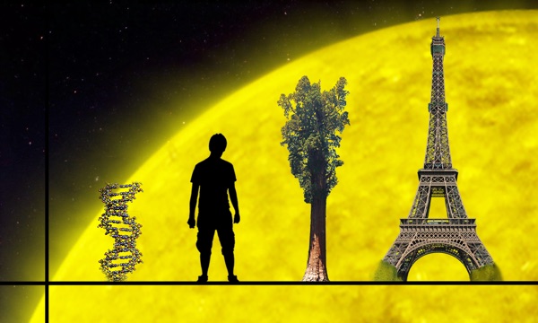 Universal Zoom for Apple TV by GamifyIt