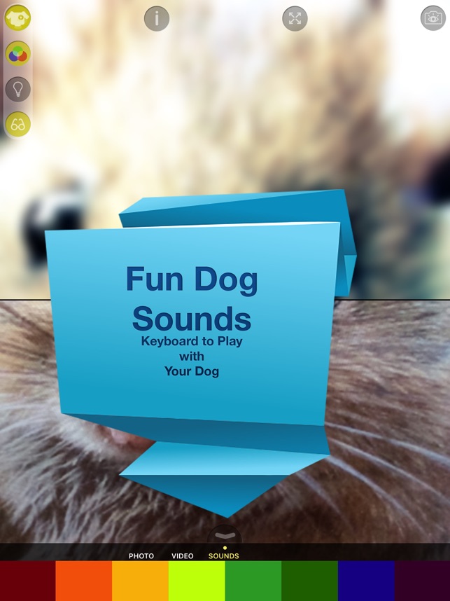 Dog Vision Simulation