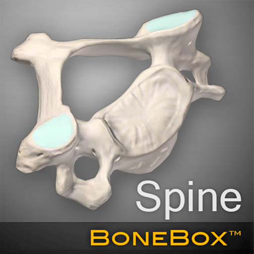 Télécharger BoneBox - Spine Viewer pour macOS sur l'App Store (Medecine)