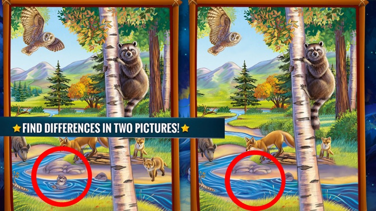 Spot The Differences - Forest by THU HANG BUI THI