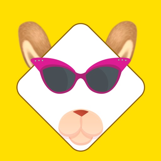 SnapFace - Fun Face, Filters & Effects by Nidhi Mistri