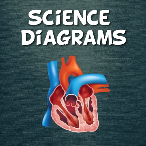 Science Diagrams by Joe Scrivens