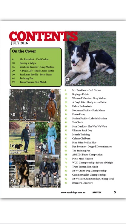 Australian Working Stock Dog by Zinio Pro