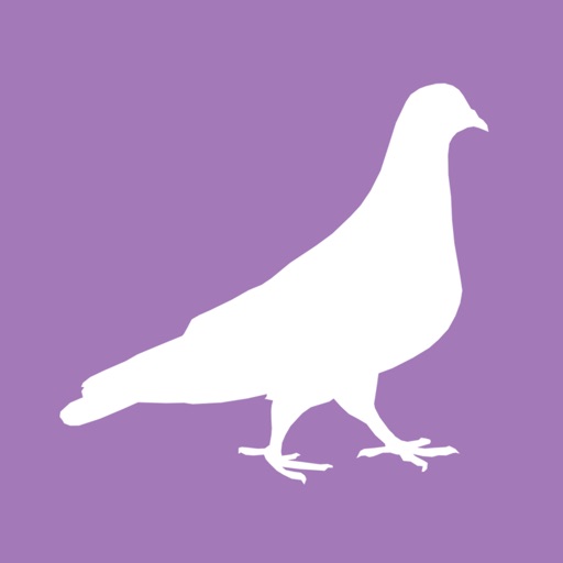 The Pigeon Stickers by Tomas Altmann
