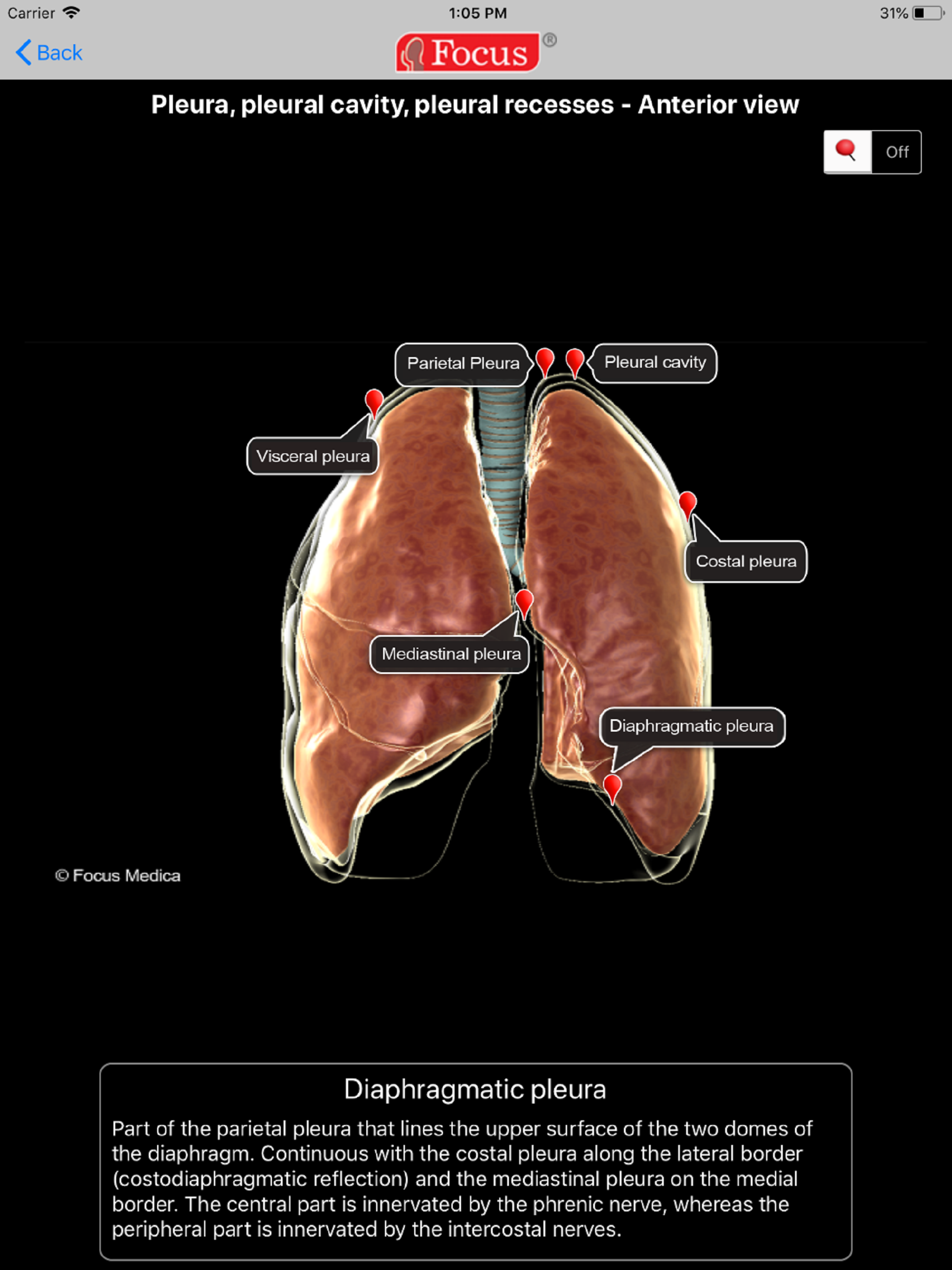 LUNGS - Digital Anatomy - Reviews, Revenue and Downloads - Apple App ...