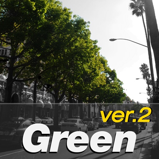 POA S621S Green2 by JC Globeway Inc