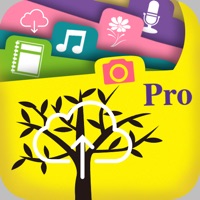 Télécharger FilesOnTree Pro - Tree File Explorer sur PC - Windows 10 et ...