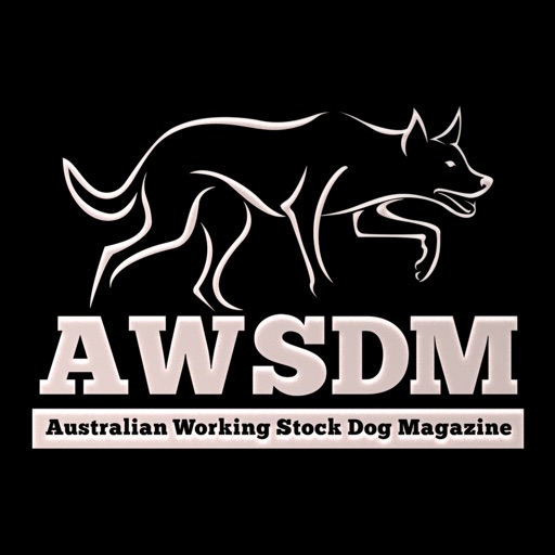 Australian Working Stock Dog by Zinio Pro