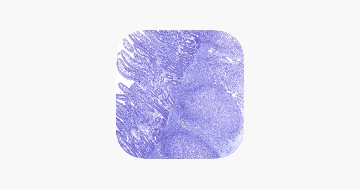 ‎AnatLab Histology App - App Store