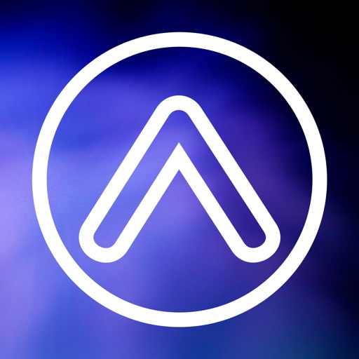 Literally Everything Basic by Daniela Bernau