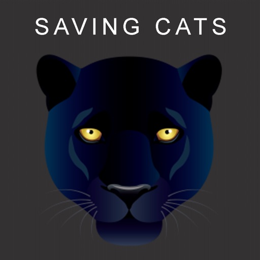 Saving Cats by E-Rock Investments, LLC: