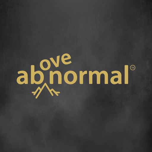 Above Normal by BOXFUSION (PTY) LTD