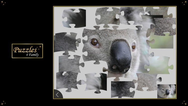 Animals 2 - Jigsaw and Sliding Puzzles by Iker Ortega