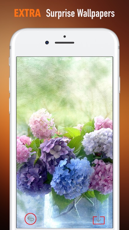 Hydrangea Wallpapers HD- Quotes and Art Pictures by CloudyBrain.com