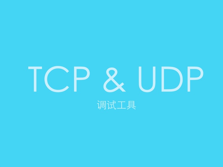 TCP/TP Debug Assistant HD by 言伟 曾