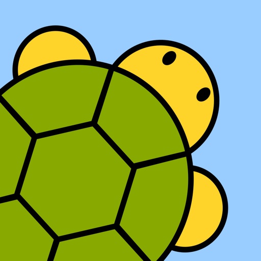 Turtles: Learn to Code for Fun by Toshio Miyasaka