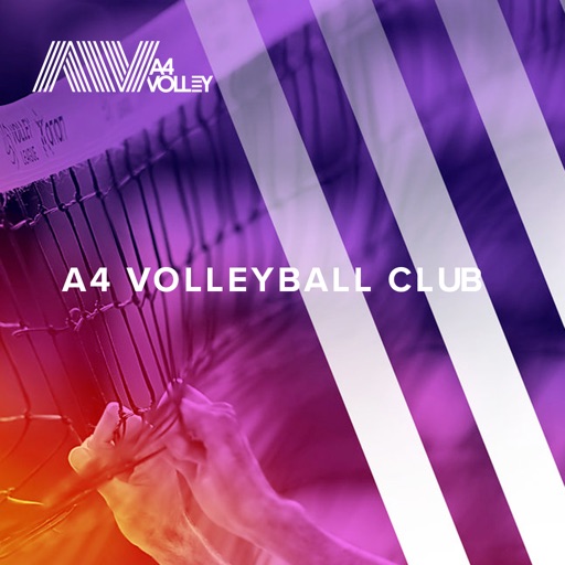 A4 Volleyball by Helix Management Corporation