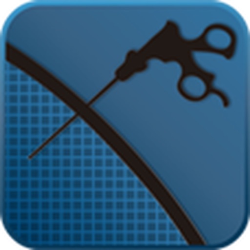 Advanced Laparoscopy by Pablo Schaffner