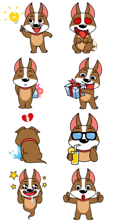 Super Cute Dog by Abay Imanberlin