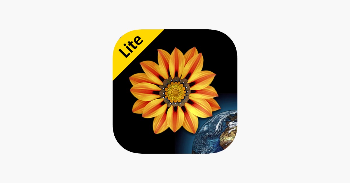 ‎Web Images Lite App - App Store
