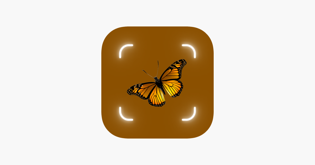 Bug+Identifier, Spiders en App Store Bug+Identifier, Spiders en App Store