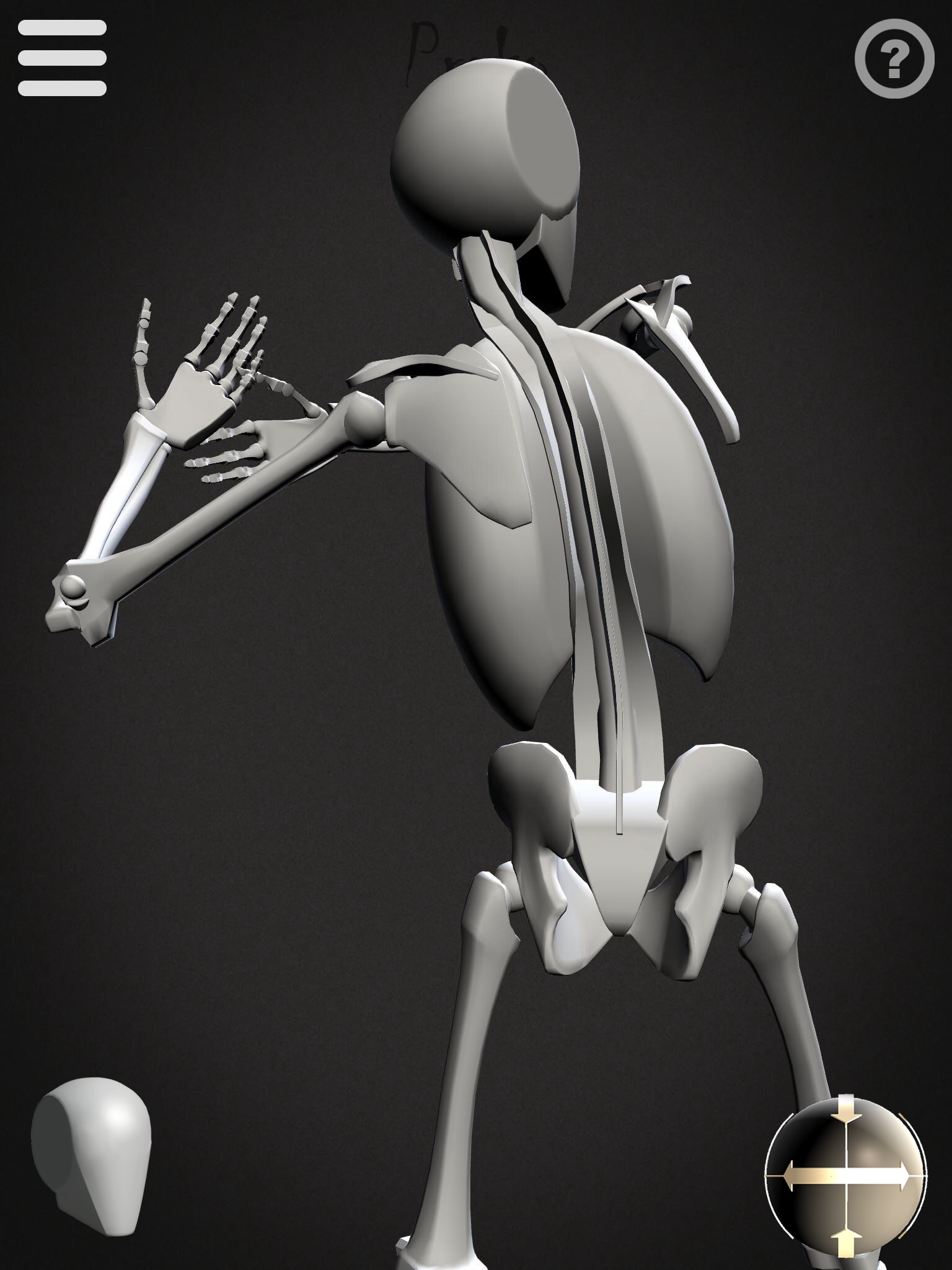 Skelly - Art Model | AppFollow | App’s reputation platform