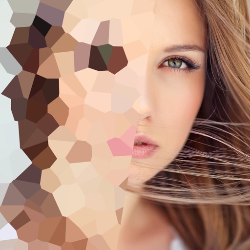 Poly Splash - Art Photo Editor with Photo Effects by Gabi Dana