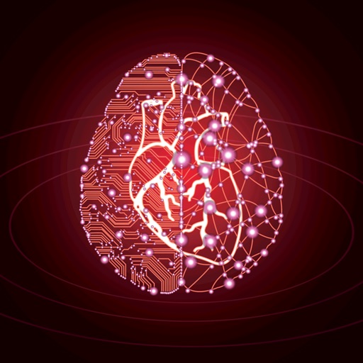 AF360 by Ibrahim Farhat