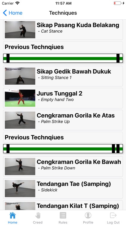 Silat Techniques by Native Deen