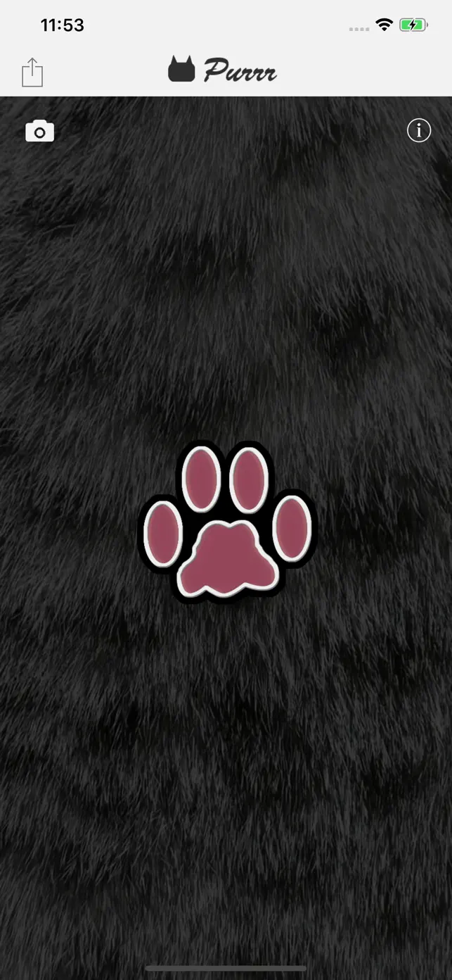 Purrr App Reviews – Features, Pricing & User Ratings