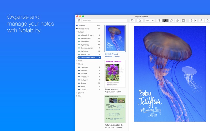 Notability For PC Download On Windows 10 8 7 Free App 