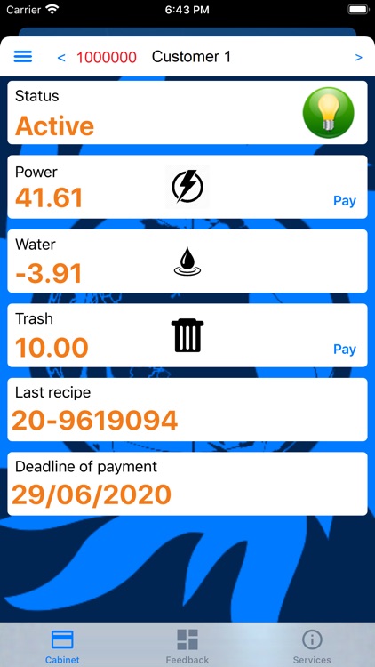 Telasi My Cabinet by Telasi JSC