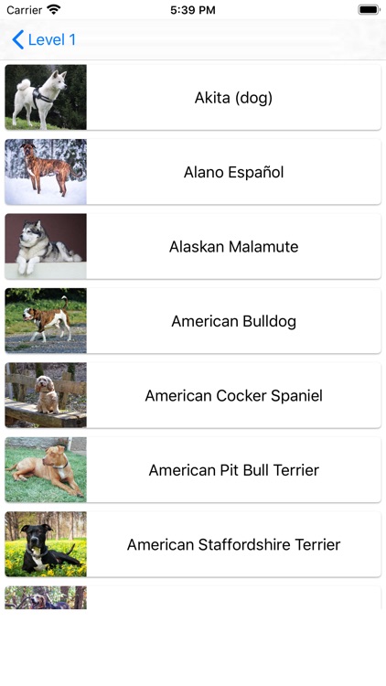 Dog Breeds Quiz - Dog Games by Irina Plastun