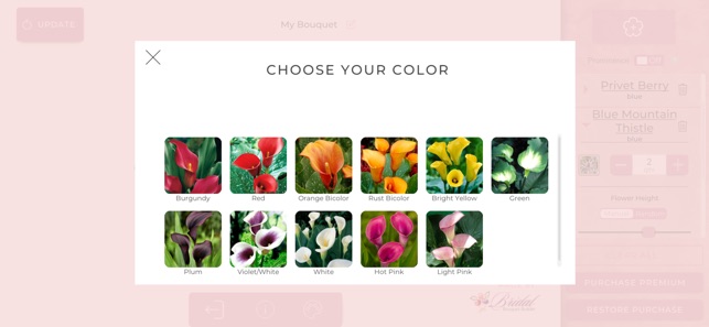 Virtual Flower Bouquet Maker | Best Flower Site