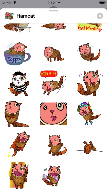 HAMCAT by Denise Chavez