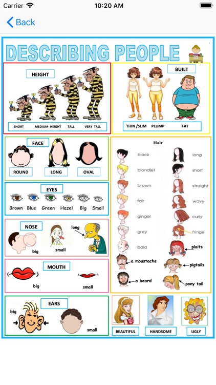Describing People in English by Alexander Shevc