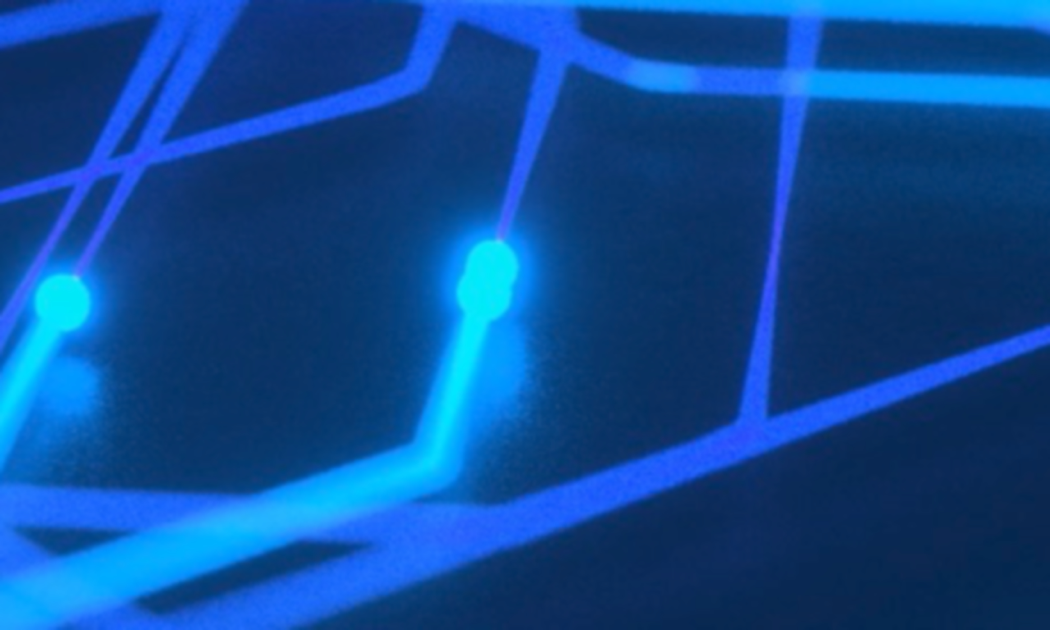 ‎Thales Seltrac G7 on the App Store