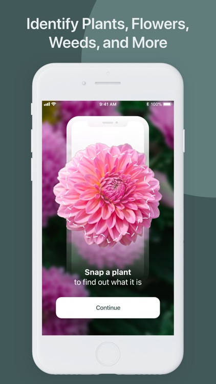 Plant Scan by VASI-GO SERVICE SRL