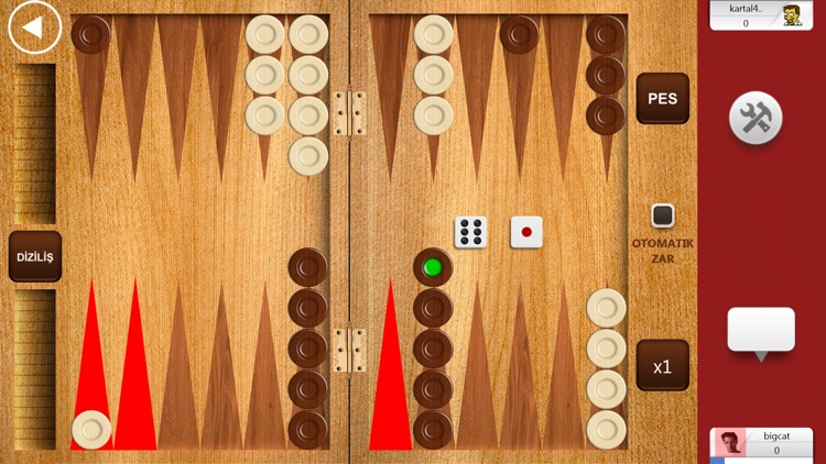 Tavla Oyunu by Teknopars Bilisim Teknolojileri