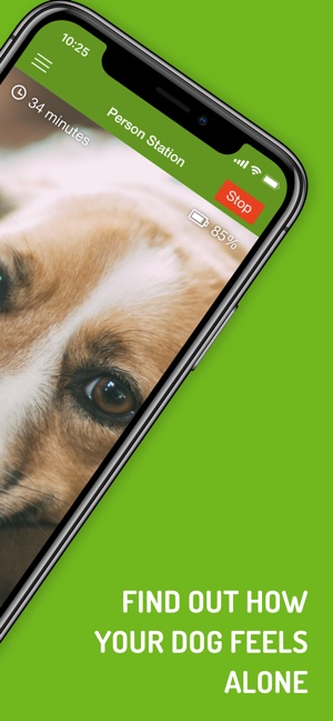 How Does The Dog Monitor App Work