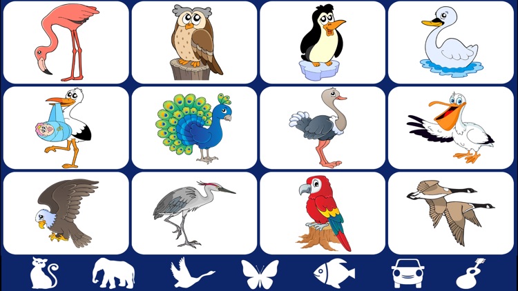 Video Touch - Wild Birds by SoundTouch Interactive LTD